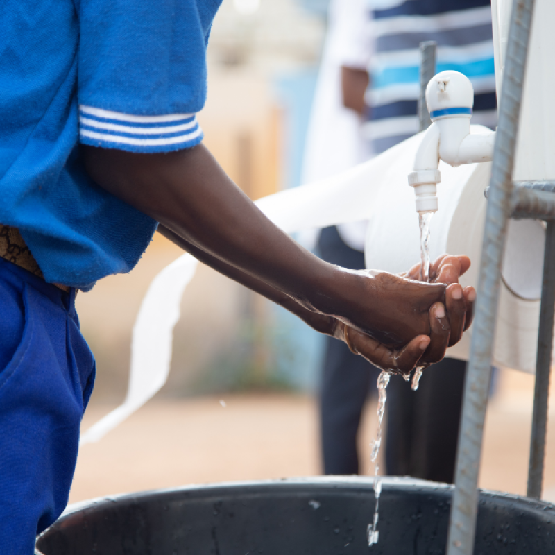 Sustainable Toiletpaper - toilet rolls | The Good Roll - The Good Roll