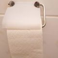 Sustainable Toiletpaper - toilet rolls | The Good Roll - The Good Roll